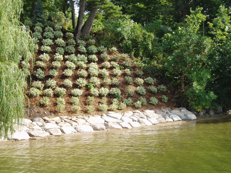 hillside landscape services